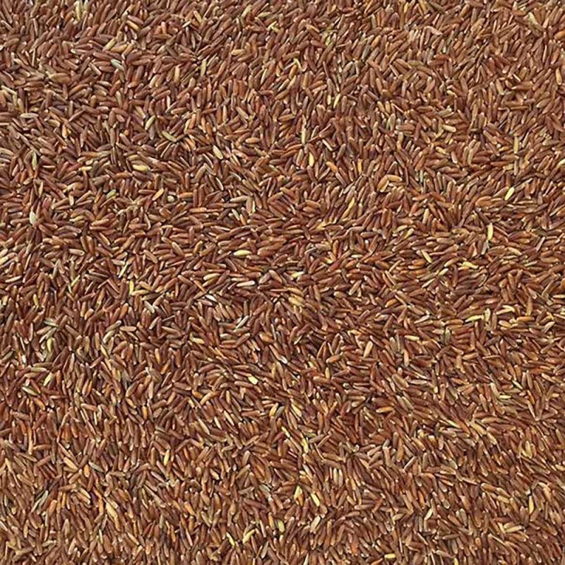 Organic Camargue Red Rice - France : Infinity Foods Wholesale - Organic ...