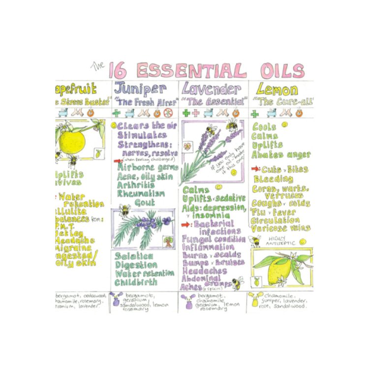 Essential Oils For Home Use Chart Liz Cook Charts 1 : Infinity Foods ...