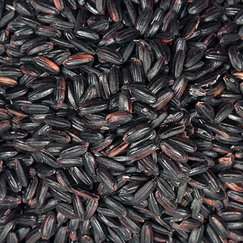 Organic Black Rice - Italy : Infinity Foods Wholesale - Organic ...