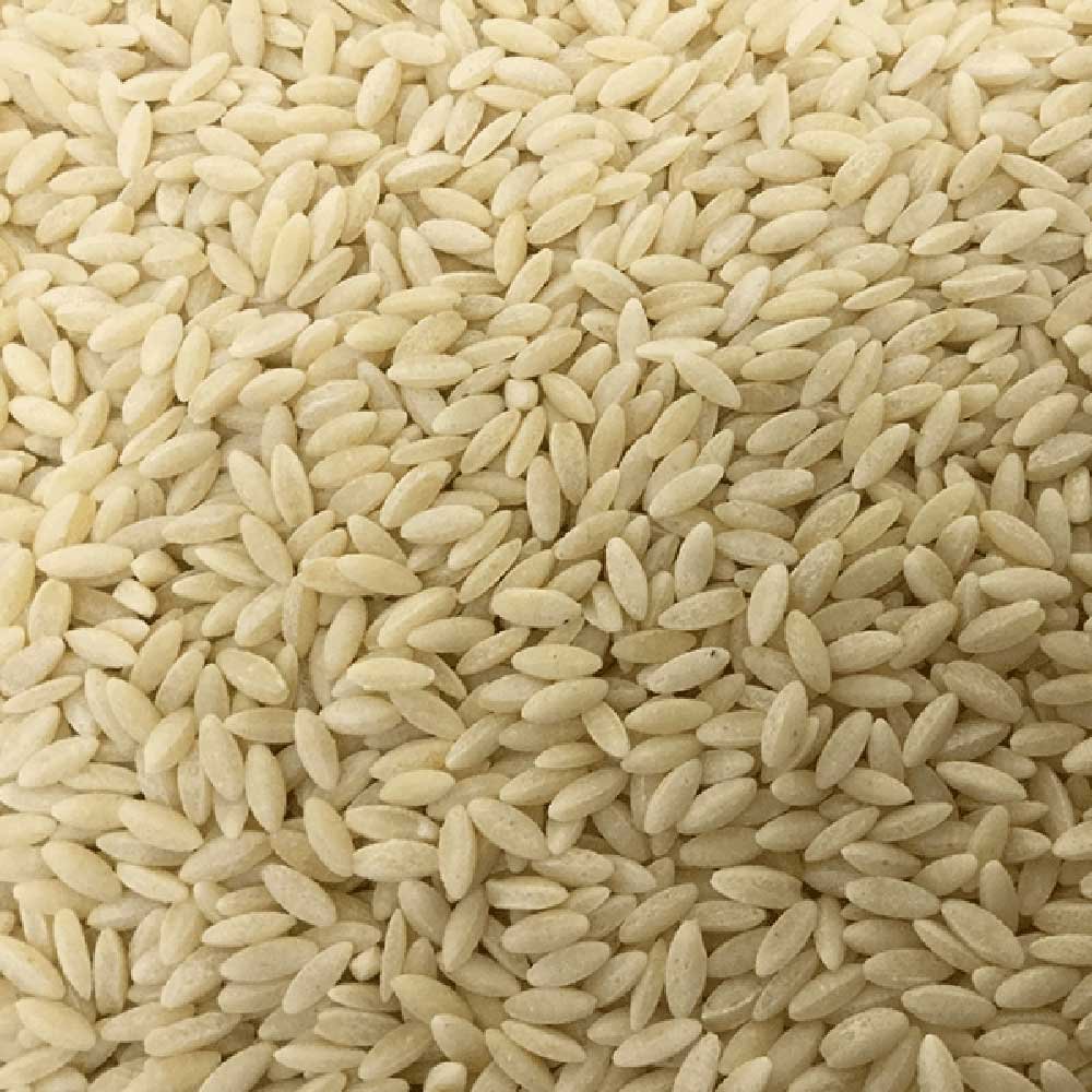 Organic Orzo - rice shape from durum wheat - white : Infinity Foods ...