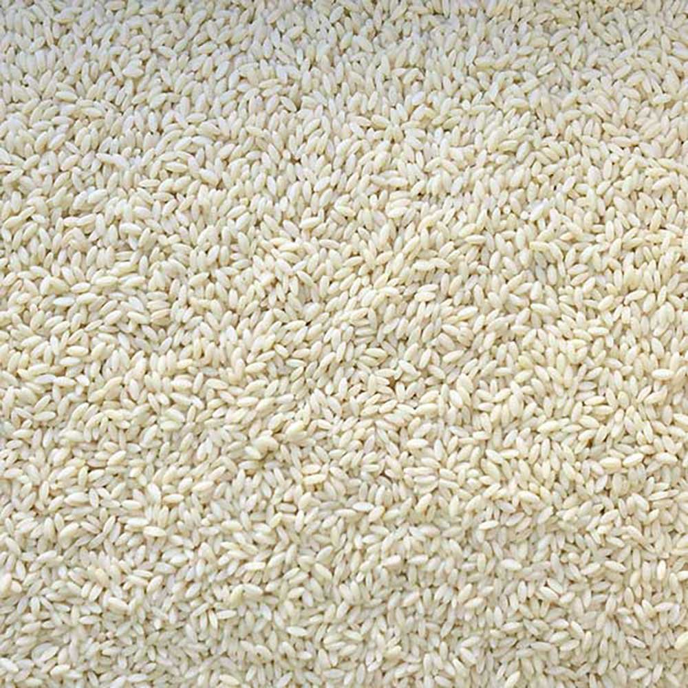 Organic Orzo - rice shape from durum wheat - white : Infinity Foods ...